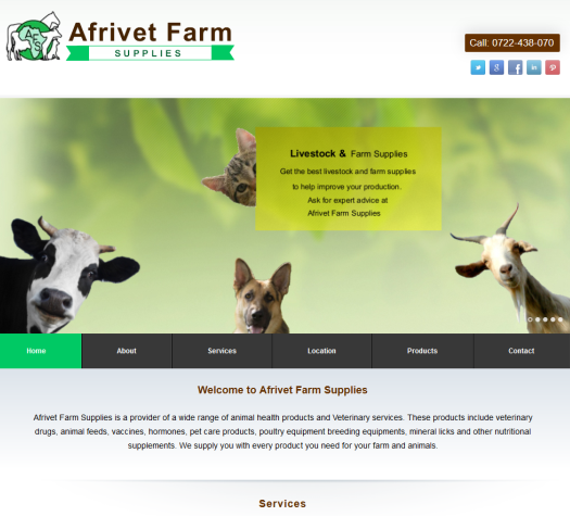 WordPress Developer Kenya Plugin & Theme [8+Years]